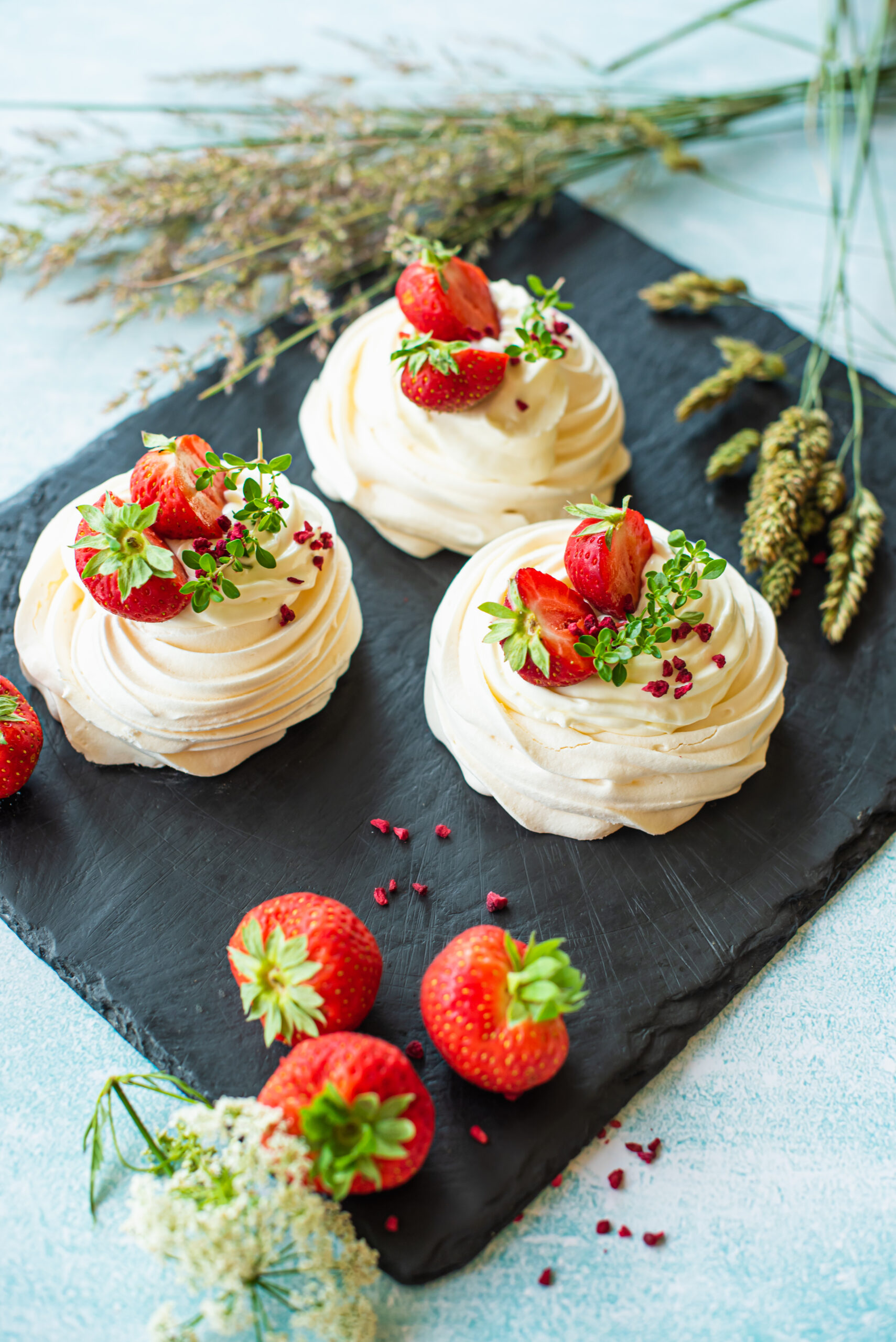 Pavlova - Taluturg